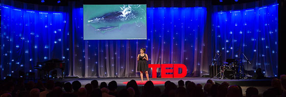 Life Butler International