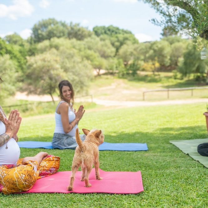 Cristina - Yoga teacher - Specialized in Hatha & Vinyasa Yoga - Life Butler